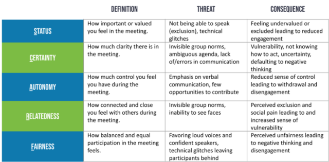 Improving Virtual Meetings with the SCARF Model | Rural Support Partners